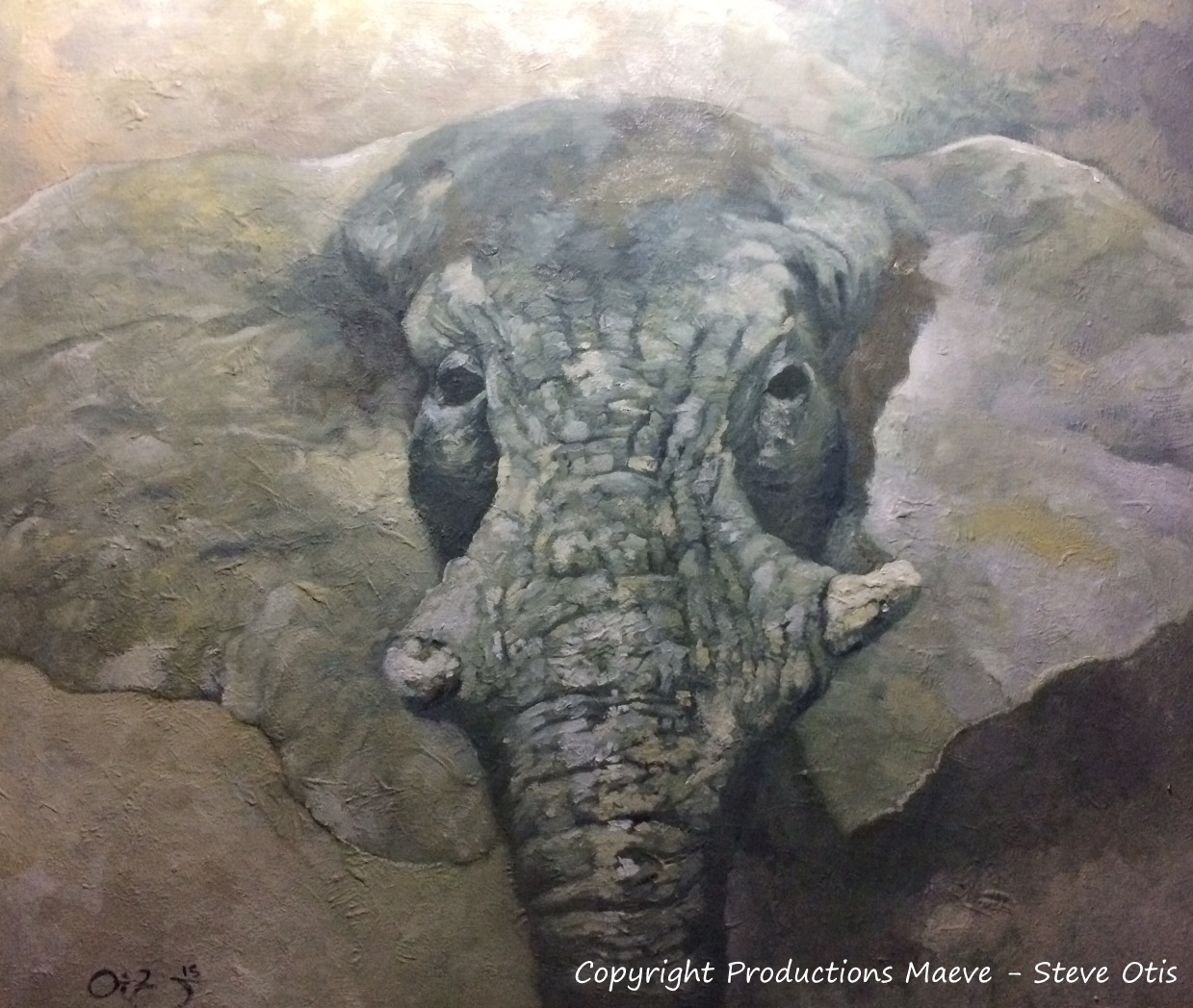 Prizes & Recognitions – Steve Otis – Artist